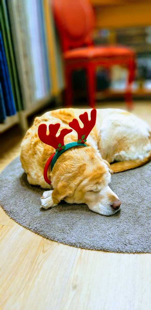 Se ne è andata Maffi, per 16 anni presenza amatissima nel centro ...