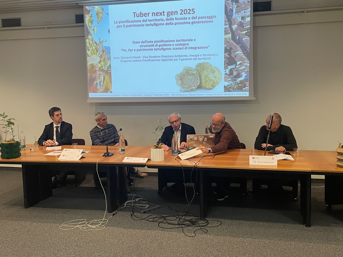 Il tartufo, specie in via di estinzione? Ad Alba il Tuber Next Gen 2025 ...