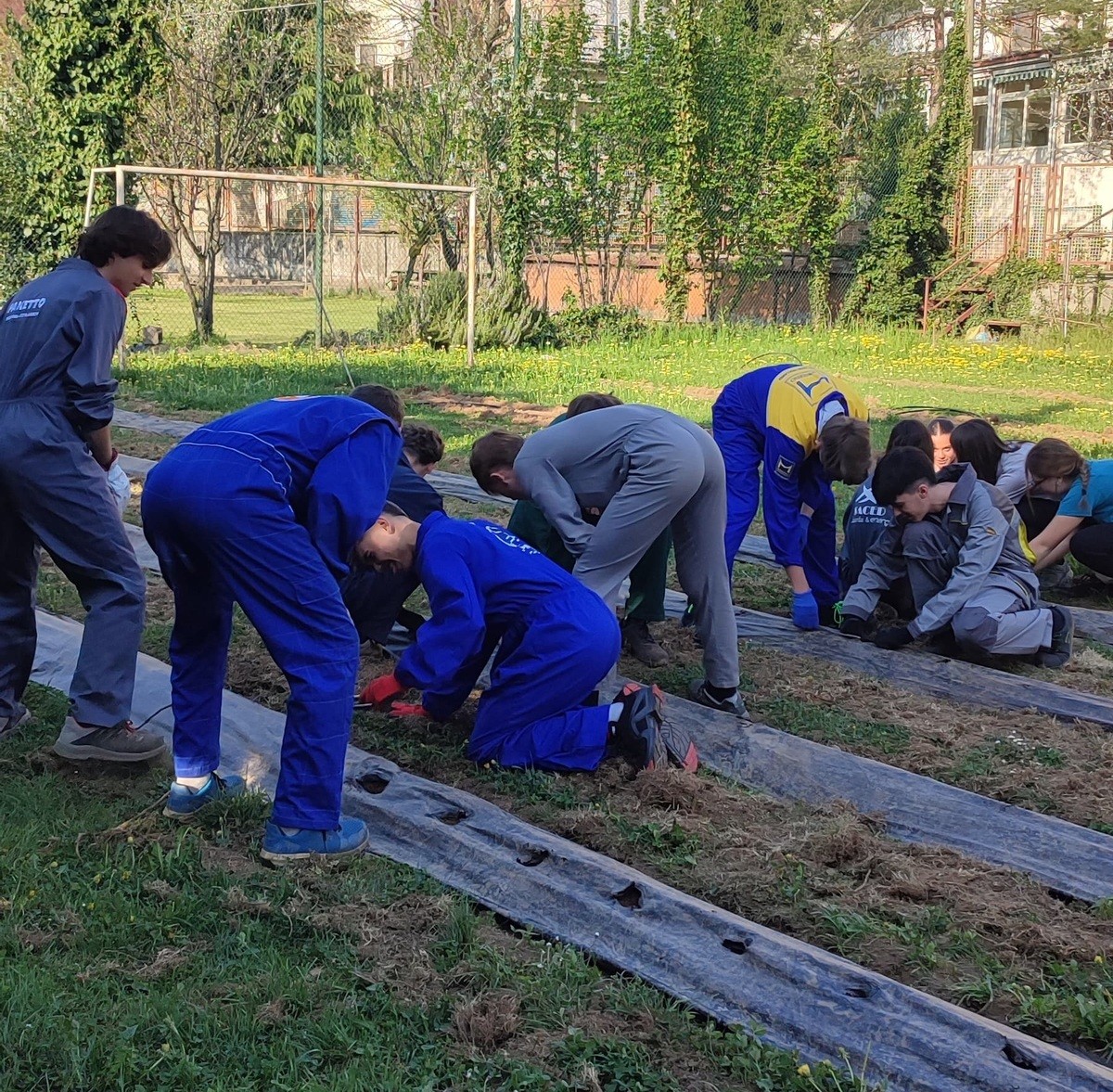 Studenti in campo per il “Coltiviamo Comunità”: nasce l’orto sociale a ...
