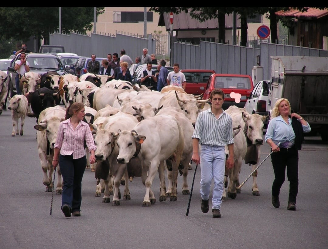 Con il film “Marghè Marghier”si racconta la vita dei margari piemontesi ...