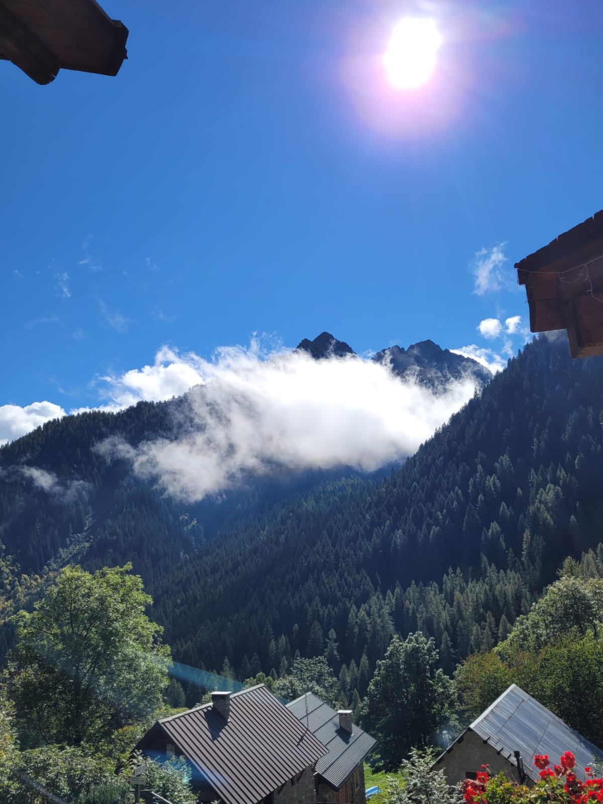 STORIE DI MONTAGNA/33 - Il Dahu: un animale leggendario o un locale ...
