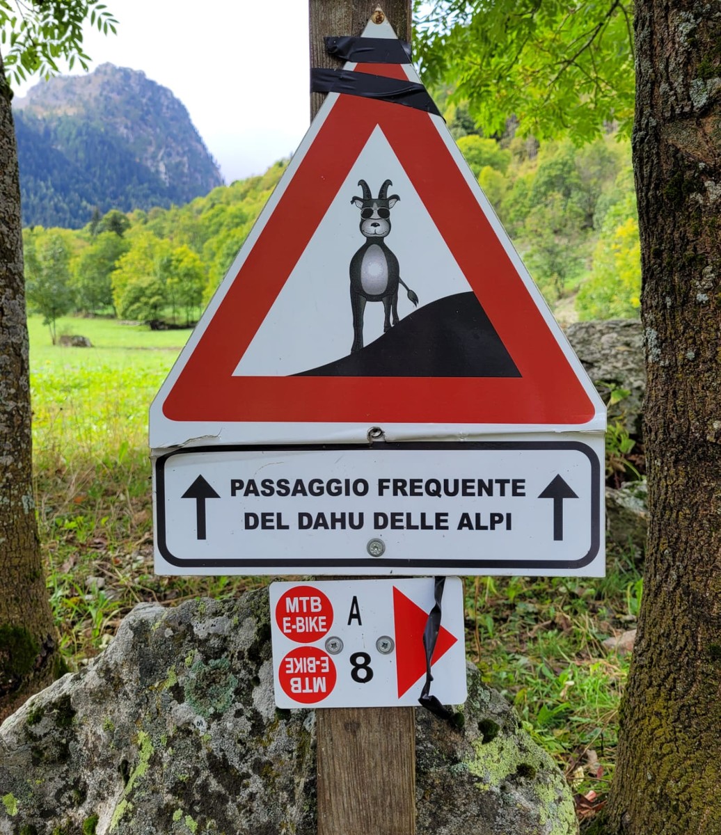 STORIE DI MONTAGNA/33 - Il Dahu: un animale leggendario o un locale ...