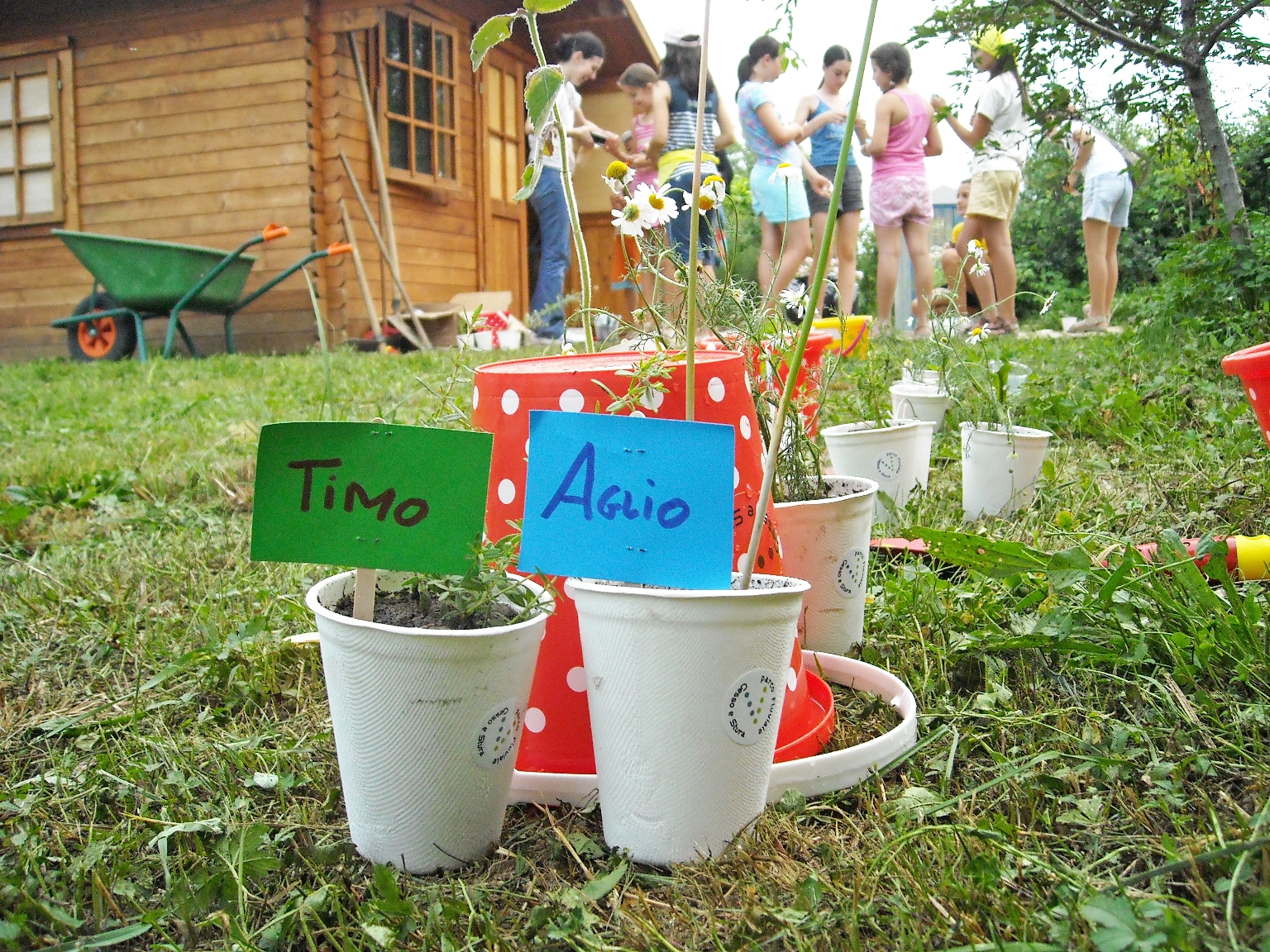 Orti…che? Per imparare a coltivare un orto con il Parco fluviale ...