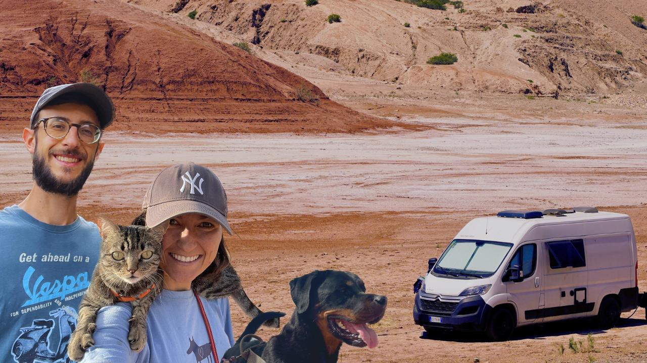 Da Torino a Dakar: inseguendo il record mondiale del gatto viaggiatore ...