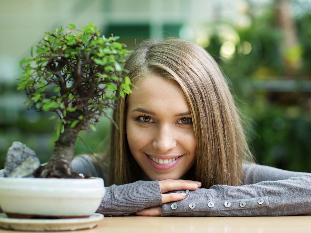 Guida completa al Ccncime per bonsai:segreti per una cura efficace ...