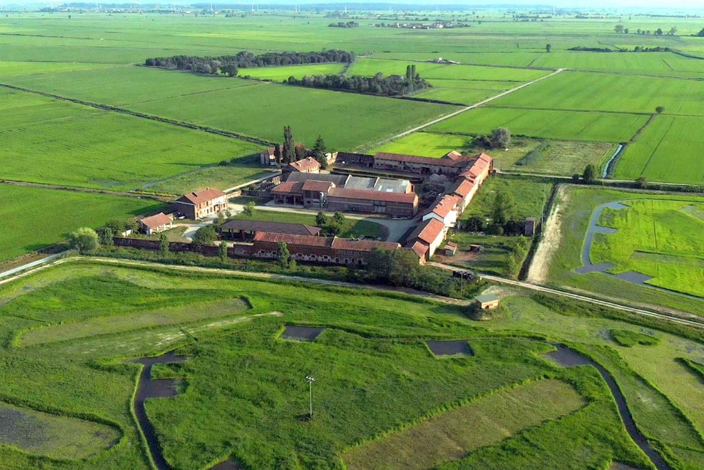 Risò 2025: i tour organizzati a Vercelli per il primo Festival ...